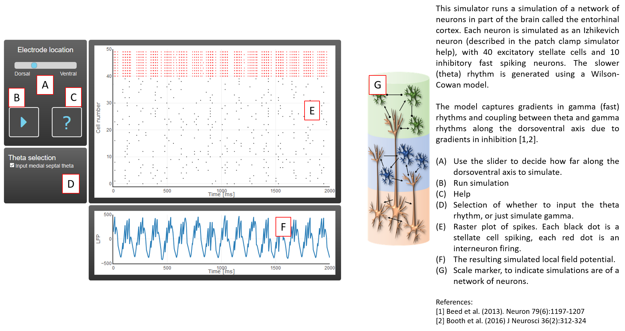 Luke Tait | Brain Modelling