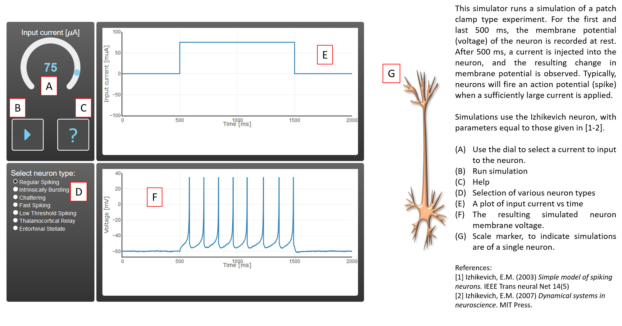 Luke Tait | Brain Modelling